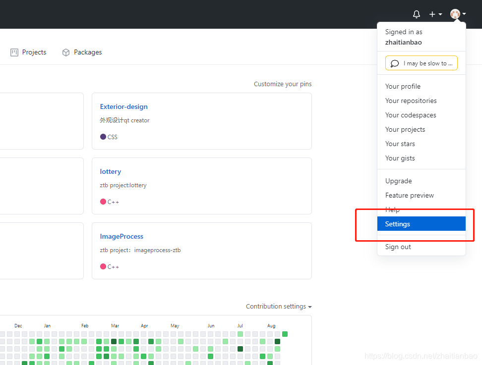 Github-PAT(Personal Access Token)_github pat-CSDN博客