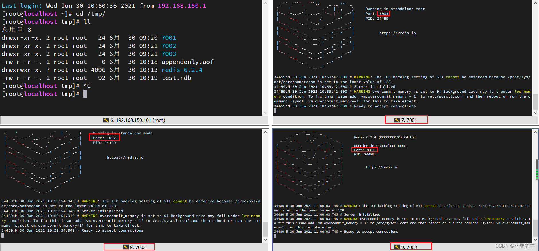 Redis主从集群搭建-CSDN博客
