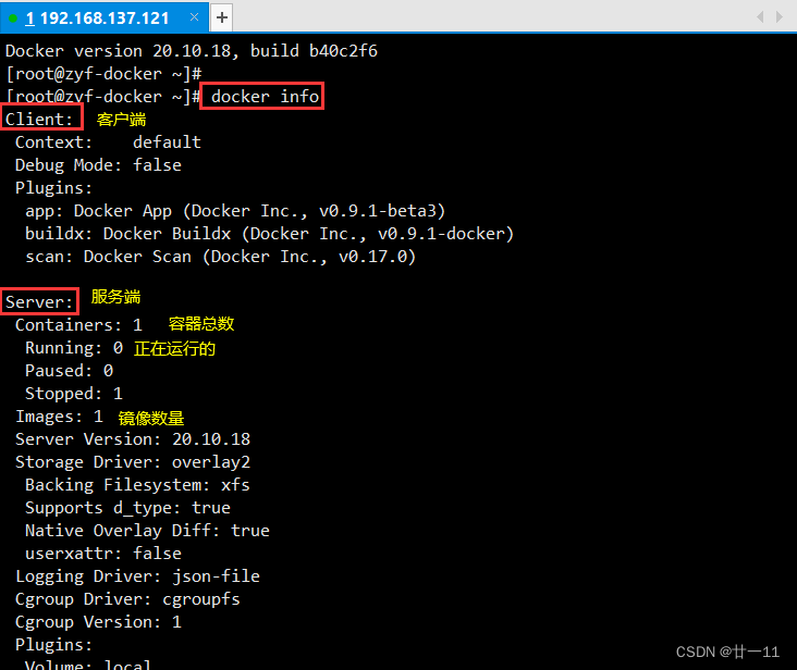 Docker：（三）docker镜像与容器基本的基本操作_在容器立面输入docker ps-CSDN博客