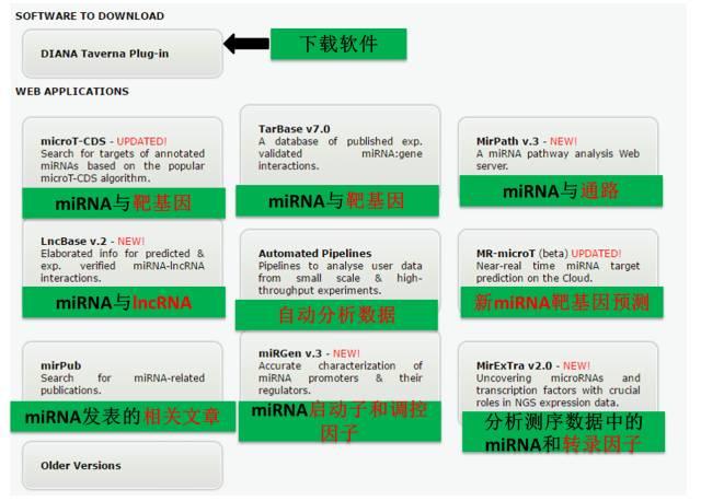 linux分析mirna,利用DIANA Tools进行miRNA分析-CSDN博客