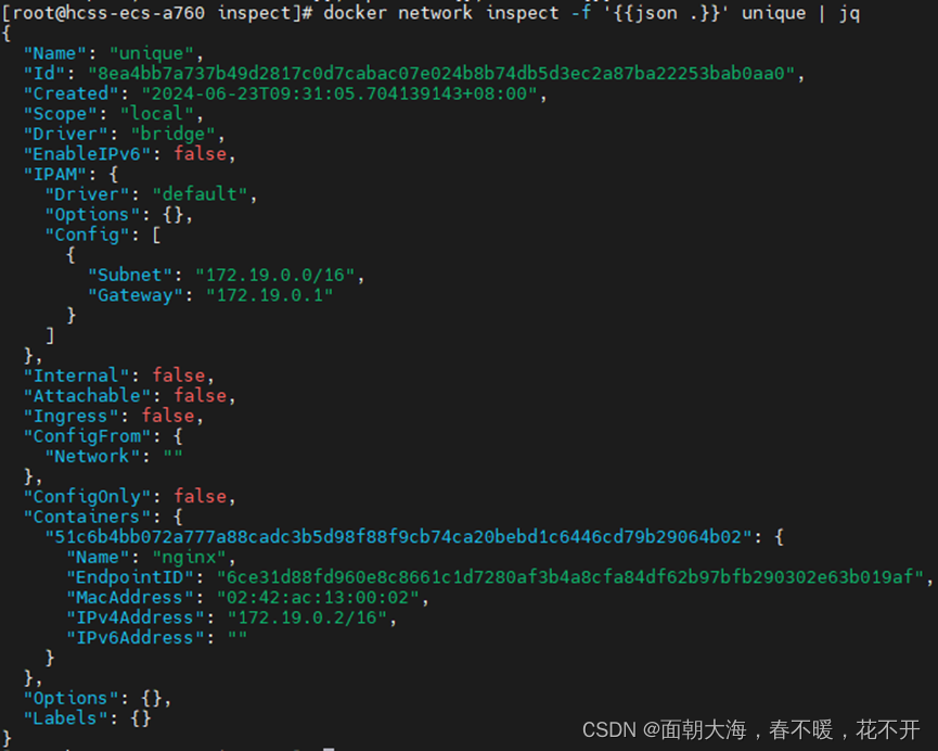如何使用 Docker Inspect 命令-CSDN博客