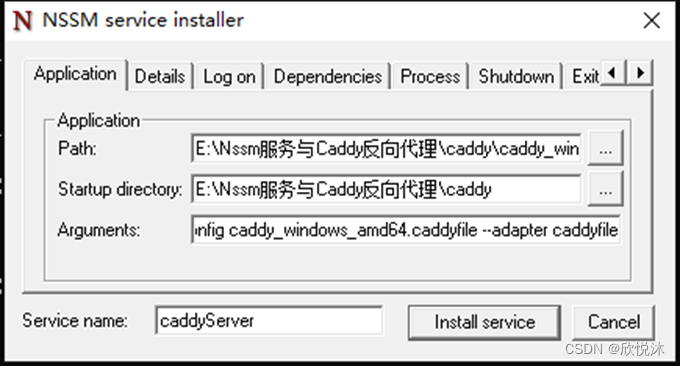 Windows服务Nssm与Caddy2反向代理_caddy windows-CSDN博客