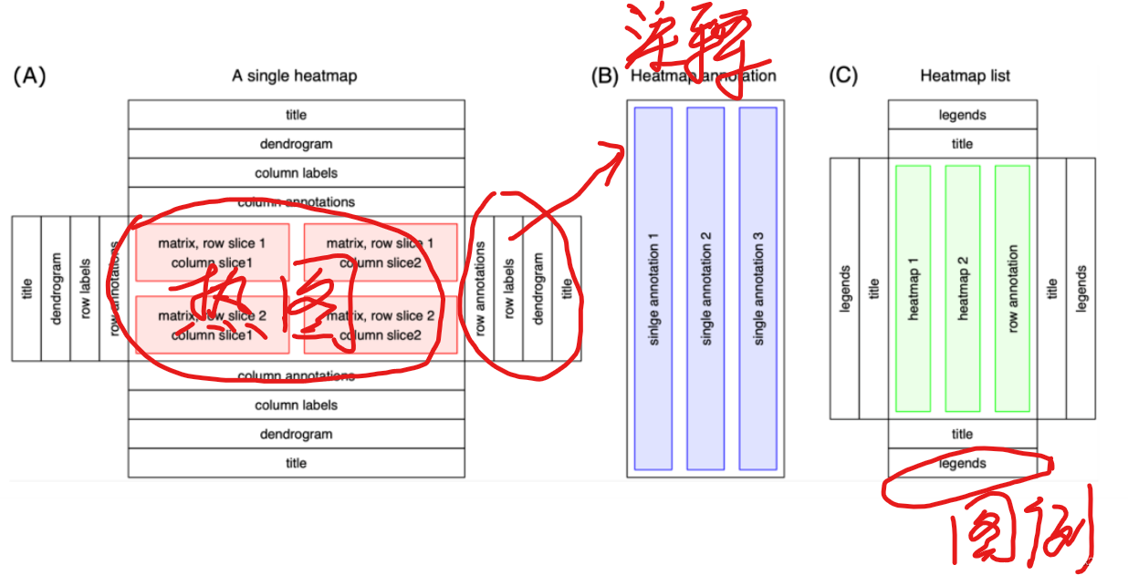 ComplexHeatmap绘图：注释、图例、热图基础（自备）-CSDN博客