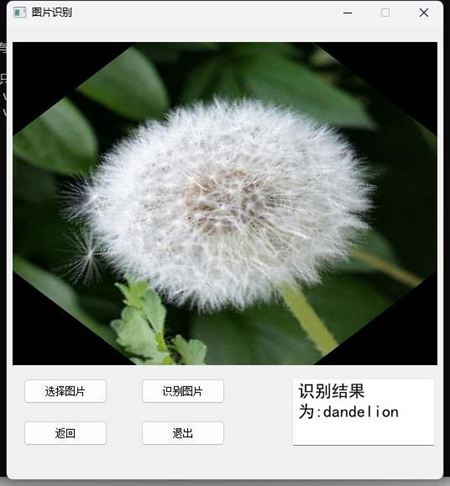 花卉识别-python-pytorch-CNN深度学习含数据集+pyqt界面_基于cnn的花卉识别源码下载-CSDN博客