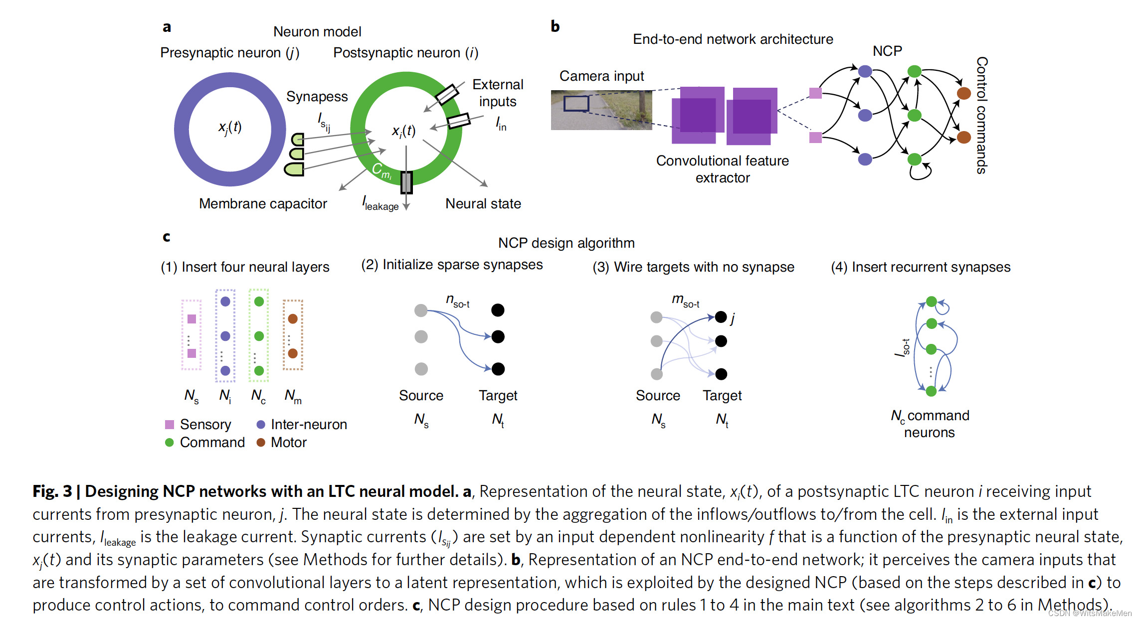 【论文理解】Neural circuit policies enabling auditable autonomy-CSDN博客