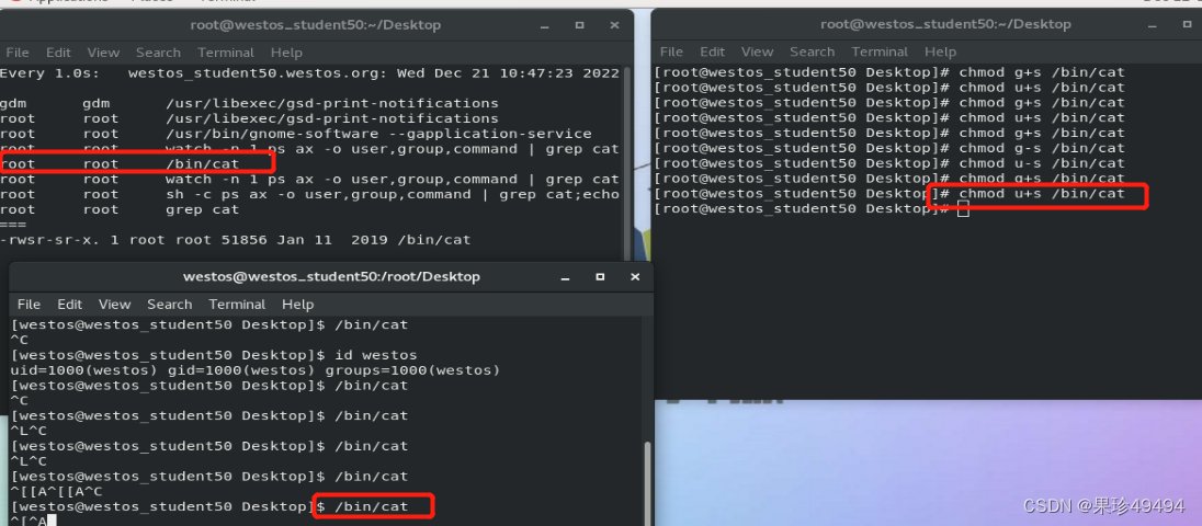 五 ＞ linux中的权限管理_linux attr-CSDN博客