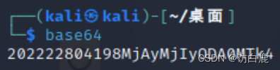 kali/windows/burpsuite/Python下计算md5，sha1，sha256，base64的值_kali md5解密-CSDN博客