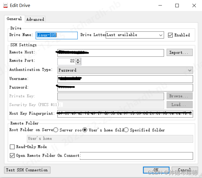 使用SftpDrive + SourceInsight阅读远程服务器代码_sftp drive-CSDN博客
