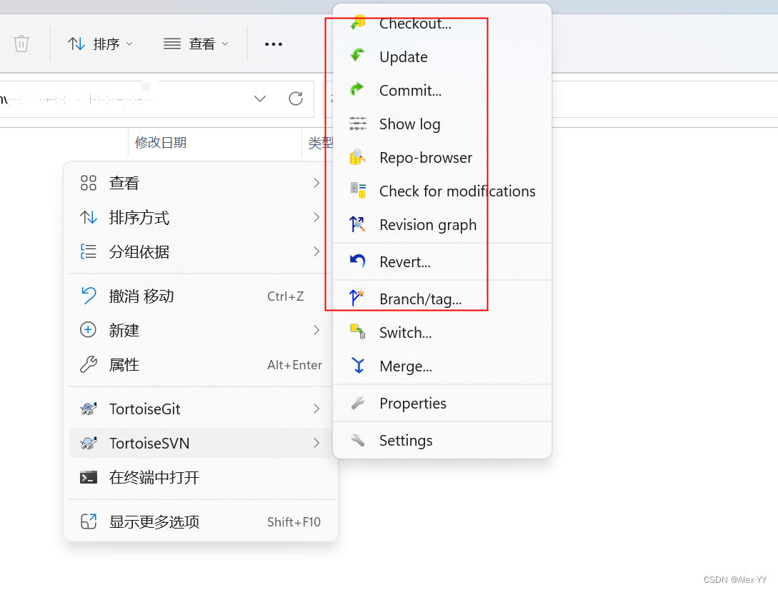 PhpStorm 2023配置SVN更新代码_phpstorm2023配置svn-CSDN博客