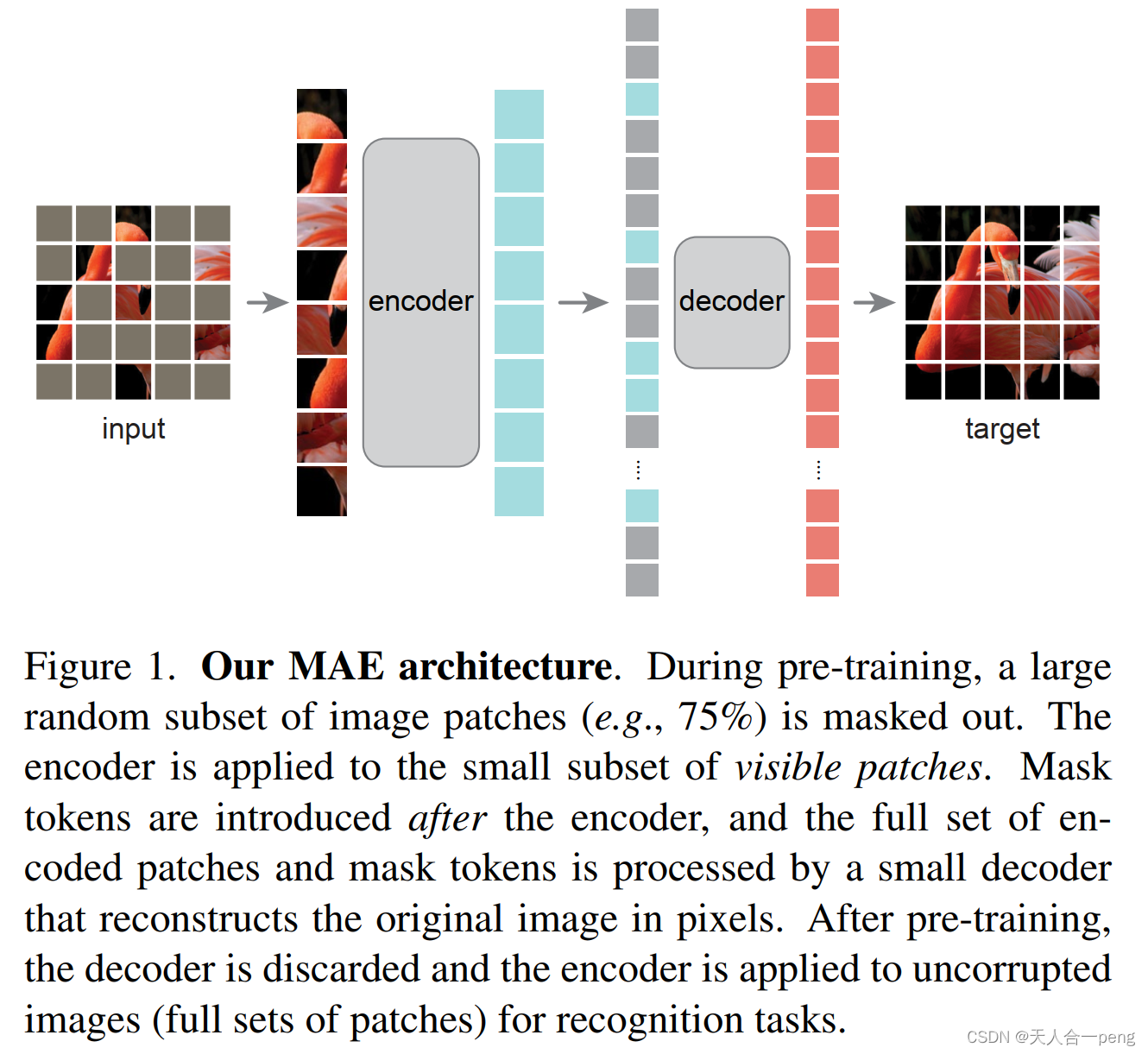 Masked Autoencoders Are Scalable Vision Learners_he k, chen x, xie s ...