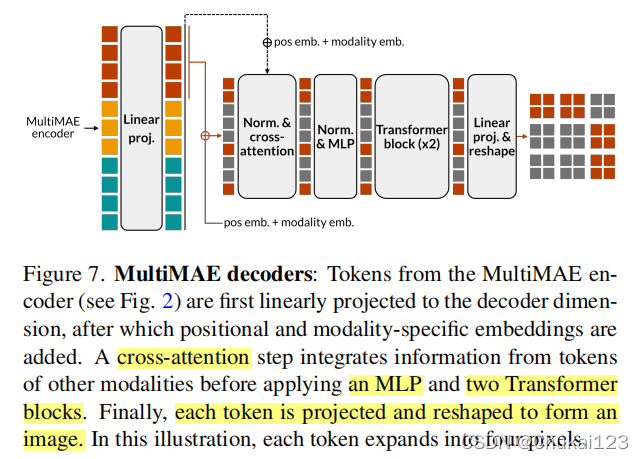 MultiMAE：多模式多任务掩码自编码器-CSDN博客