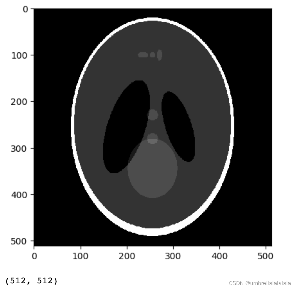 编程记录——研究一下python对shepp_logan体模数据实现radon变换_shep-logan phantom python-CSDN博客