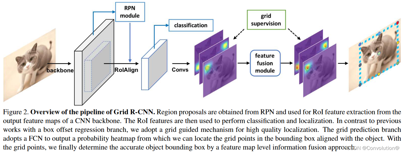 目标检测论文阅读：Grid R-CNN算法笔记-CSDN博客