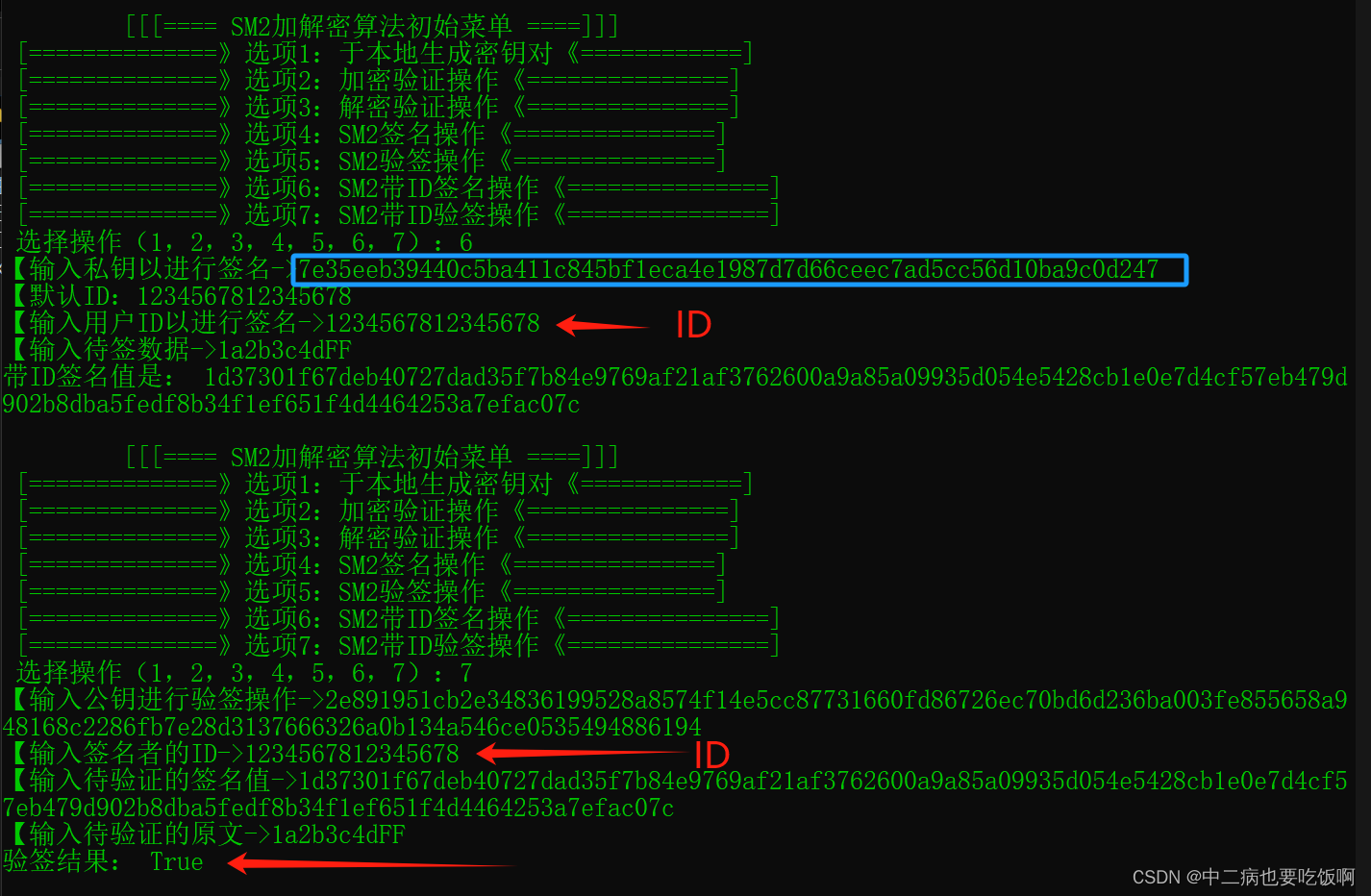 python GMSSL包实现SM2加解密算法、签名验签算法及带ID签名、验签【含资源！见页首】_python gmssl 加签-CSDN博客