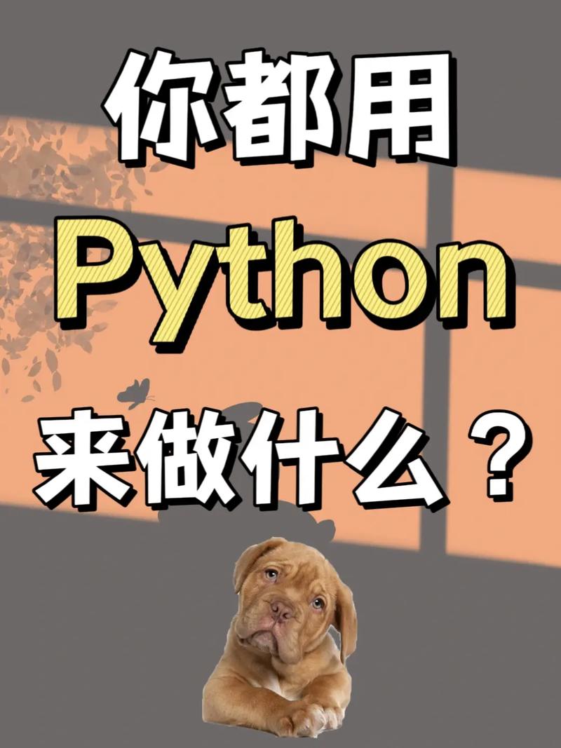 Python学完之后可以做什么学完python可以做什么 Csdn博客 3763