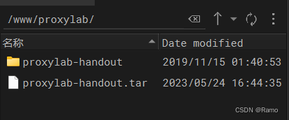 代理服务器实验记录_proxylab实验-CSDN博客