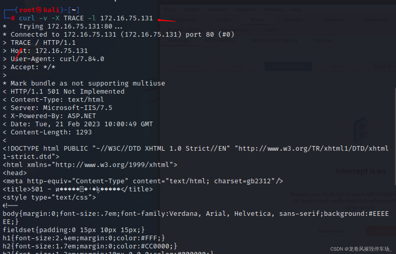 远端WWW服务支持TRACE请求_远程web服务器支持trace track方法-CSDN博客