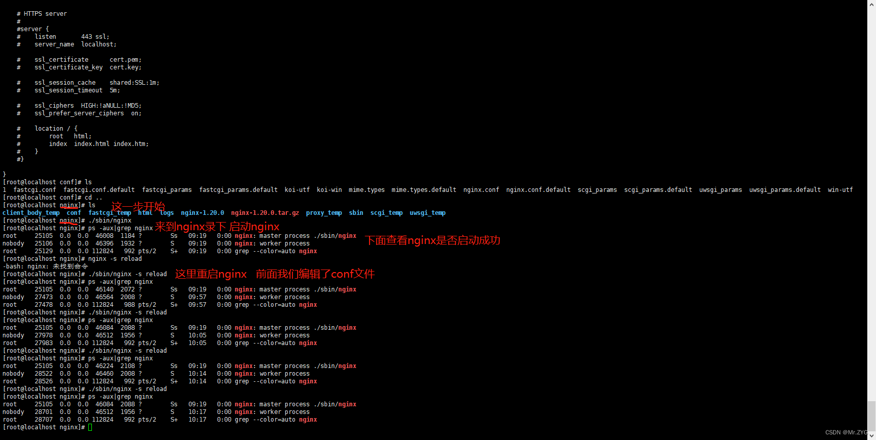 vue项目使用xshell部署到服务器_vue 调用shell-CSDN博客