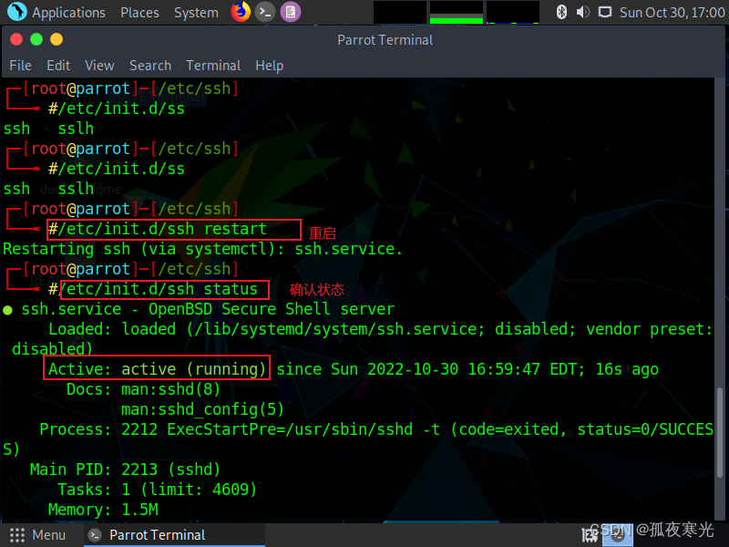 Kali linux和Parrot linux改IP并开启SSH_ssh修改ip-CSDN博客