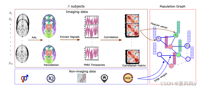 [论文精读]Classification of Developmental and Brain Disorders via Graph Convolutional Aggregation ...