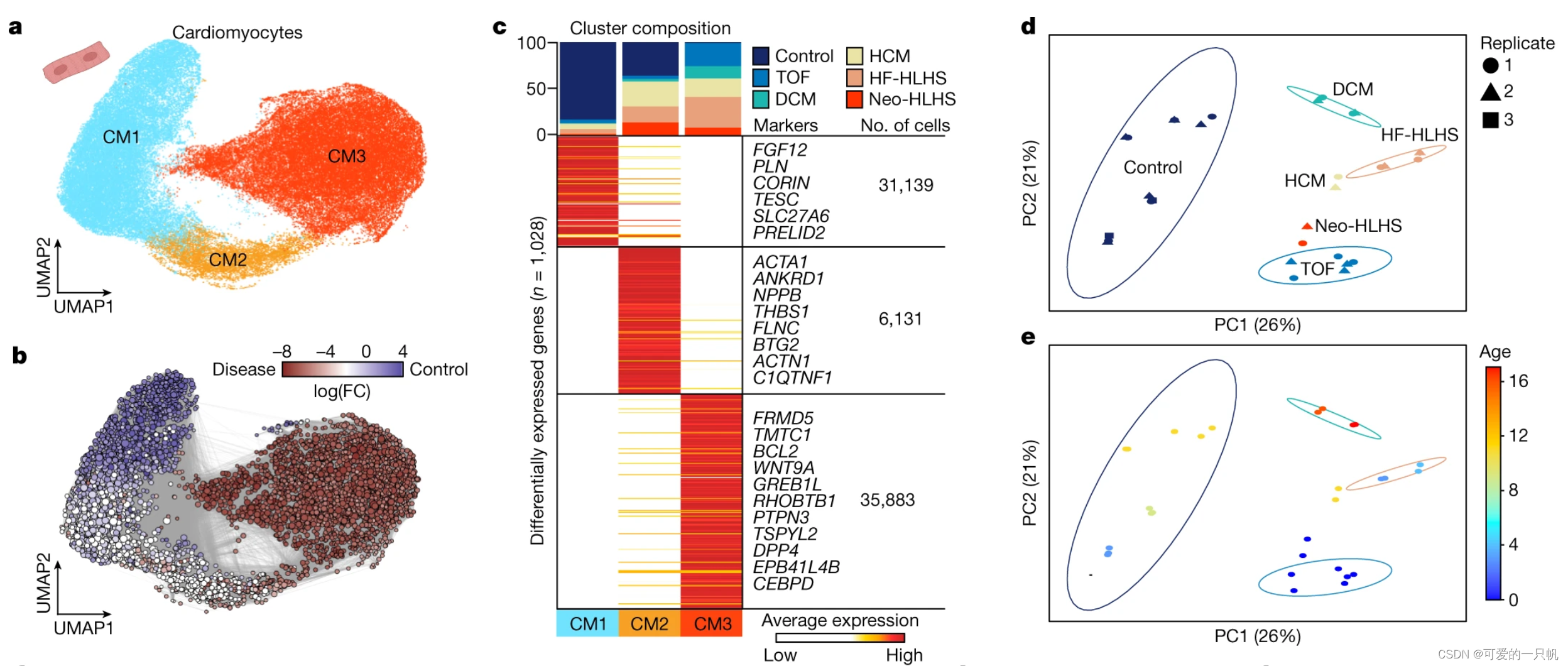 简谈Pseudobulk RNA-seq-CSDN博客