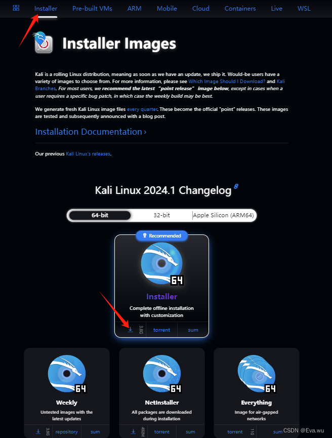 2024年最新版本Kali Linux安装小技巧_kali 2024更新 yun-CSDN博客