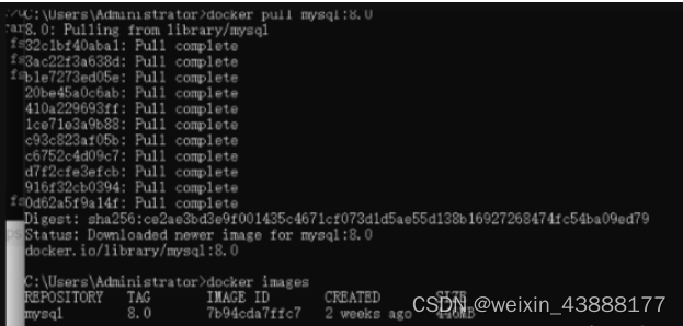 Windows系统使用Docker安装Mysql配置详情步骤_windows docker 安装mysql-CSDN博客