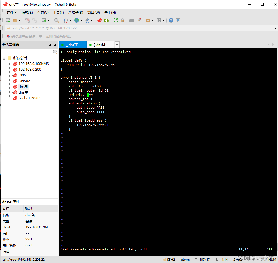 Rocky linux 搭建DNS主从服务器+keepalived实现高可用_keepalived dns-CSDN博客