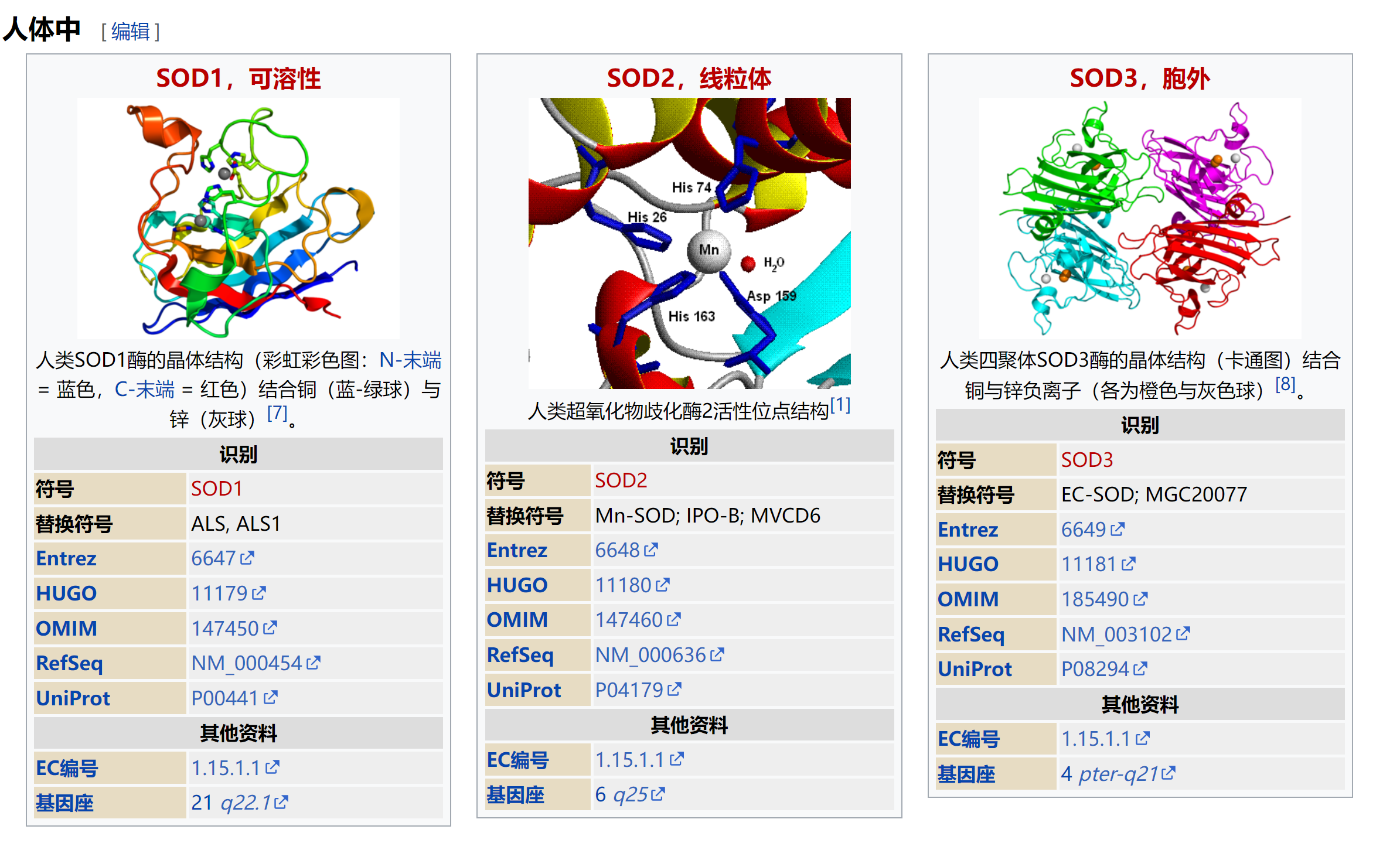 【系统生物学】利用XPPAUT求解SOD系统-CSDN博客