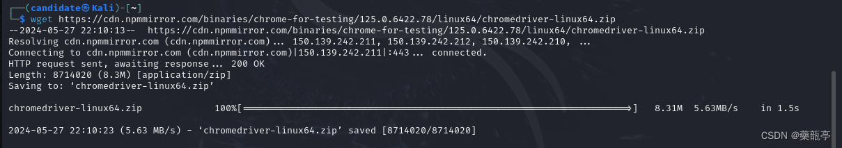 Kali : 安装Google Chrome 浏览器和ChromeDriver_kali chrome-CSDN博客