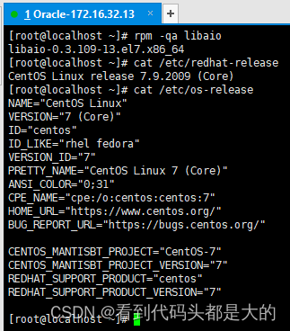 CentOS7.9上安装Oracle11g详解_centos安装oracle-CSDN博客