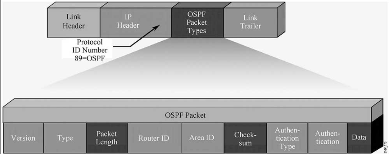 OSPF数据包_ospf数据包类型-CSDN博客