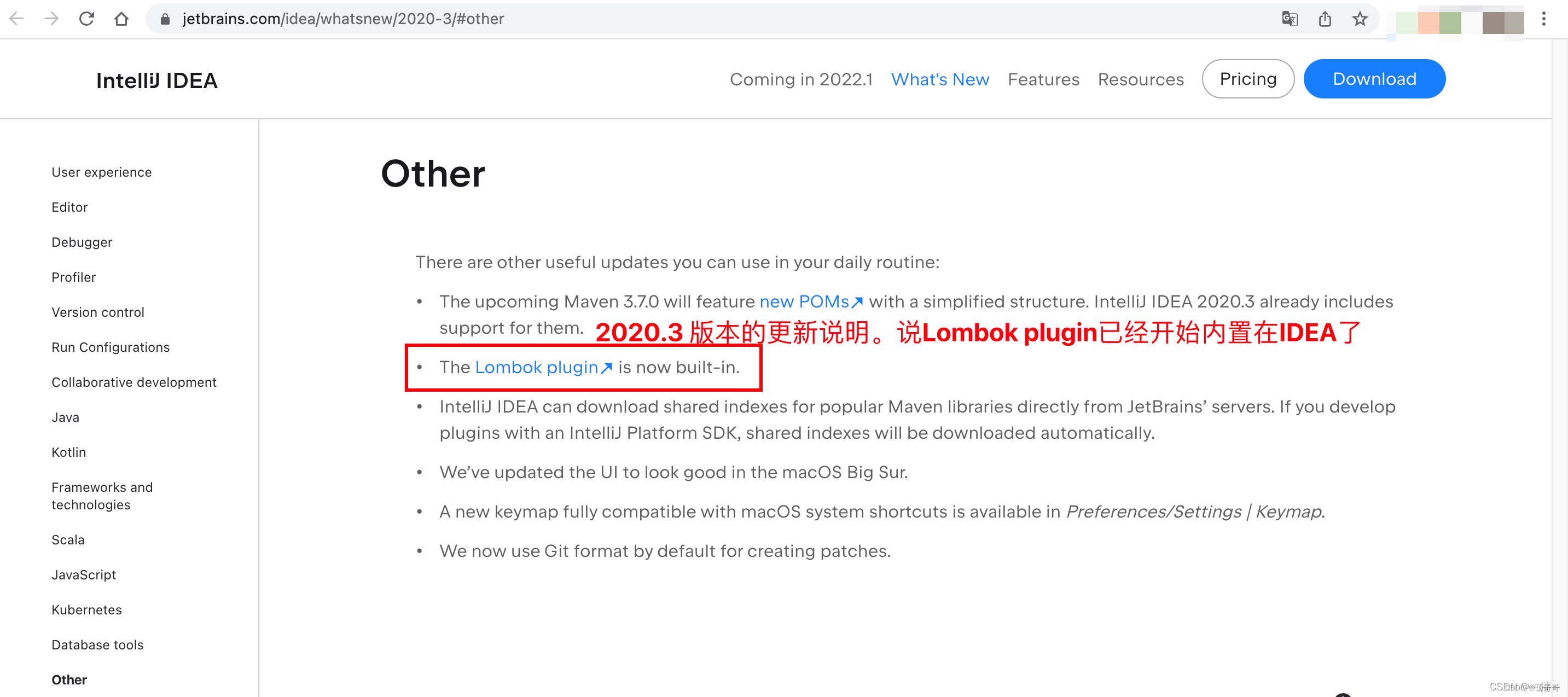 【项目问题解决】IDEA2020.3 使用 lombok 插件 java: 找不到符号 符号: 方法 builder()-CSDN博客