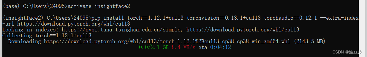 配置环境-insightface-torch_insightface python3.8-CSDN博客