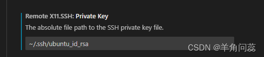 Vscode使用remote X11插件实现x11转发 Csdn博客 