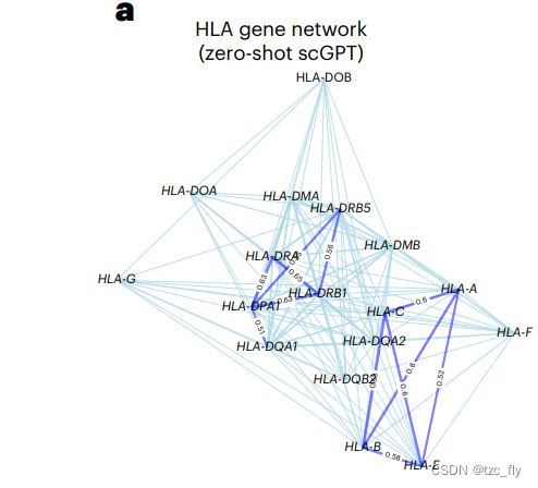 scGPT实验解读-CSDN博客