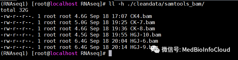 sql索引的建立与使用_转录组分析 | 使用SAMtools将SAM文件转换为BAM文件、排序、建立索引...-CSDN博客