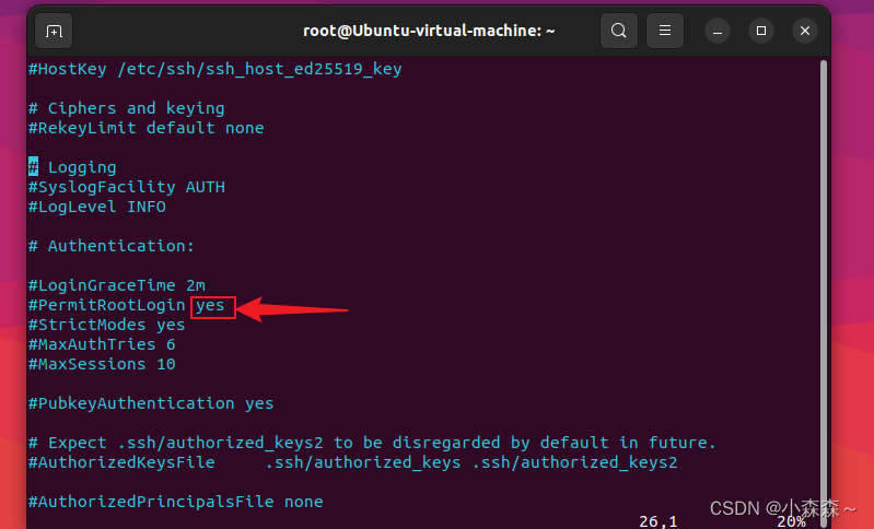 Ubuntu系统中SSH服务的安装与配置-CSDN博客
