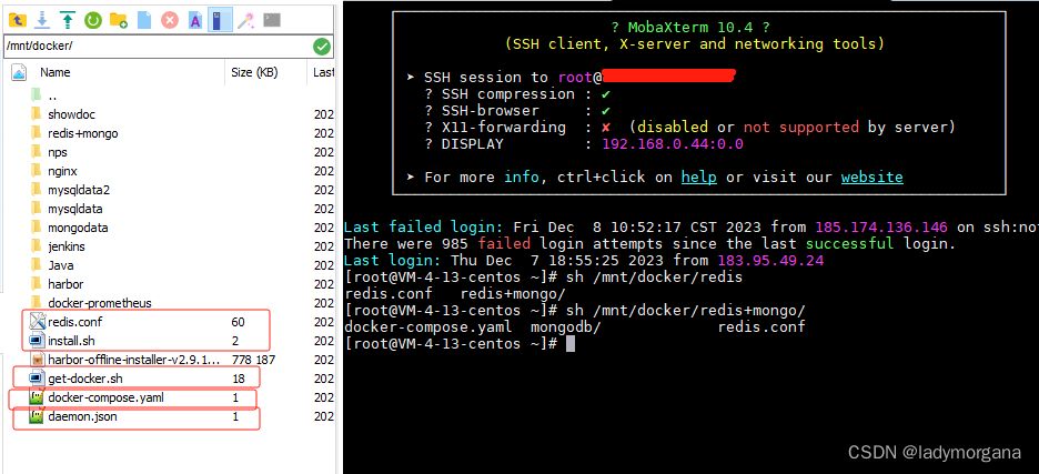 【Jeecg Boot 3 - 保姆级】第1节 docker + redis + nginx + redis一键安装启动_jeecg docker-CSDN博客