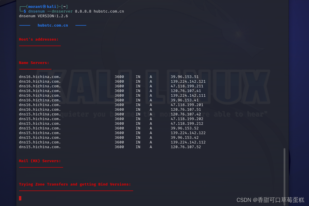 DNS 分析神器：dnsenum 保姆级教程（附链接）-CSDN博客