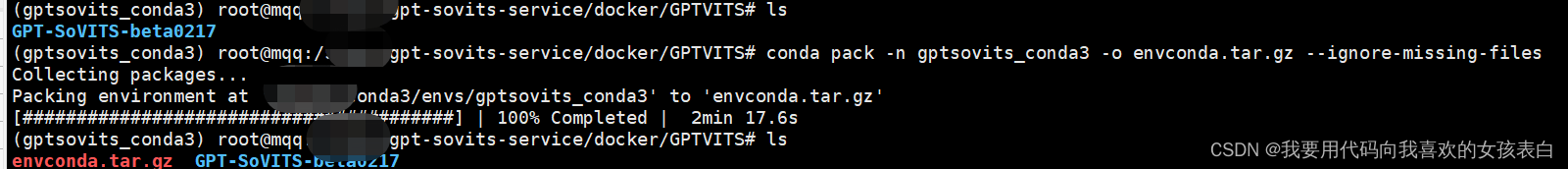 python将conda环境打入docker环境中_conda docker-CSDN博客