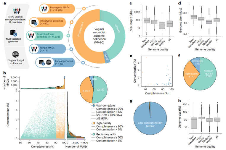 Nat Microbiol | 孙文/鄢秋龙/李胜辉构建人类阴道3.3万个基因组集-CSDN博客