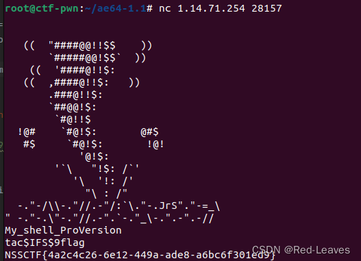NSSCTF Pwn Page 1 - 2_[watevrctf 2019]voting machine 1-CSDN博客