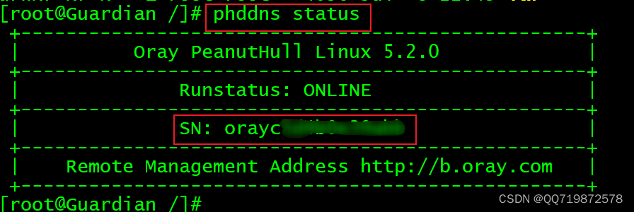 Docker 运行花生壳实现内外网穿透_docker运行化生壳-CSDN博客