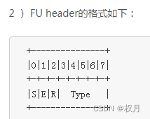 RTP包分析 以及H264 H265的分包_h265 rtp-CSDN博客