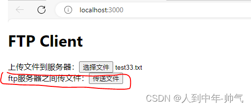 js实现上传文件到ftp服务器上_jsftp-CSDN博客