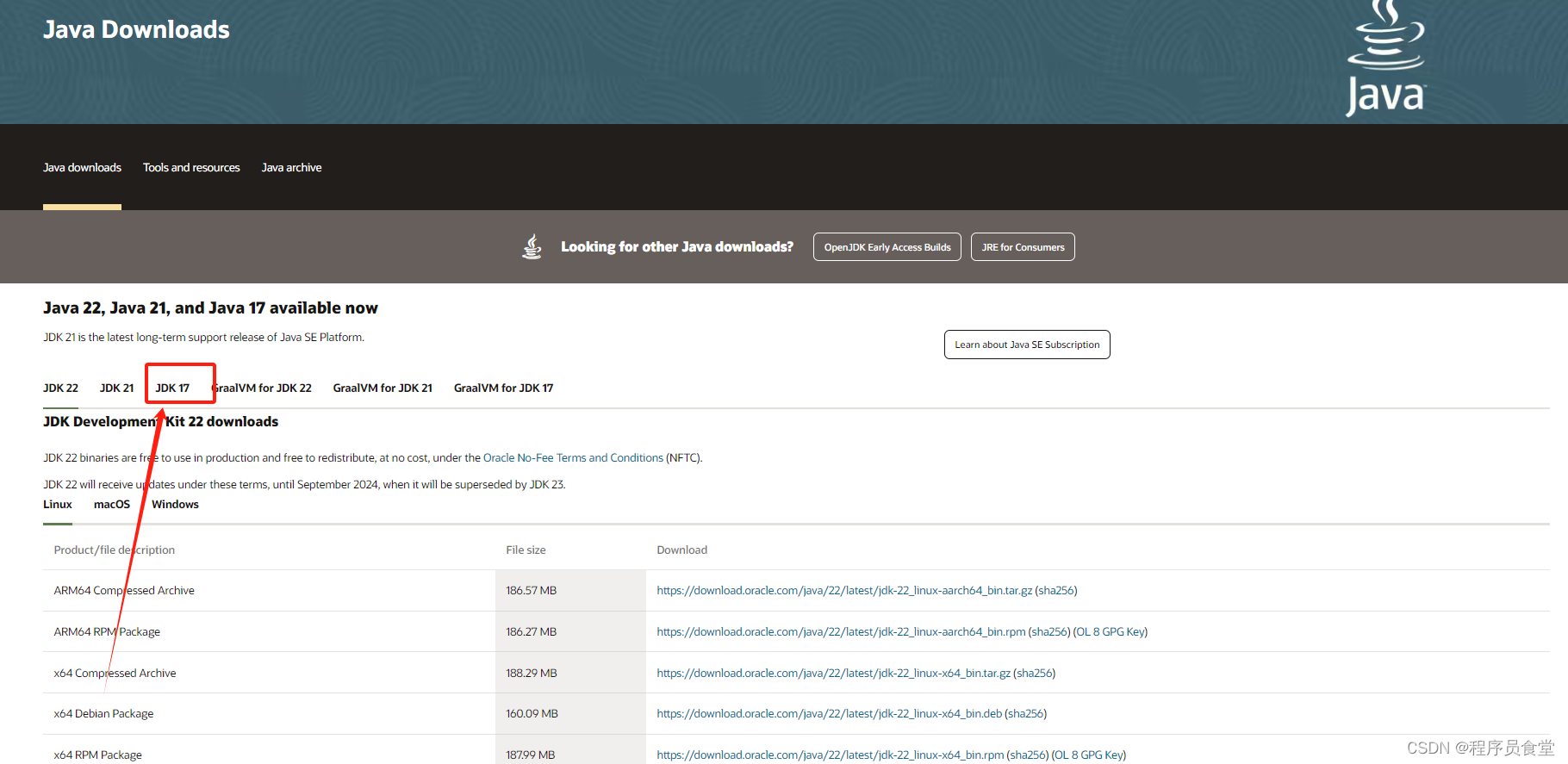 下载安装JDK17（windows）_windows jdk17下载-CSDN博客