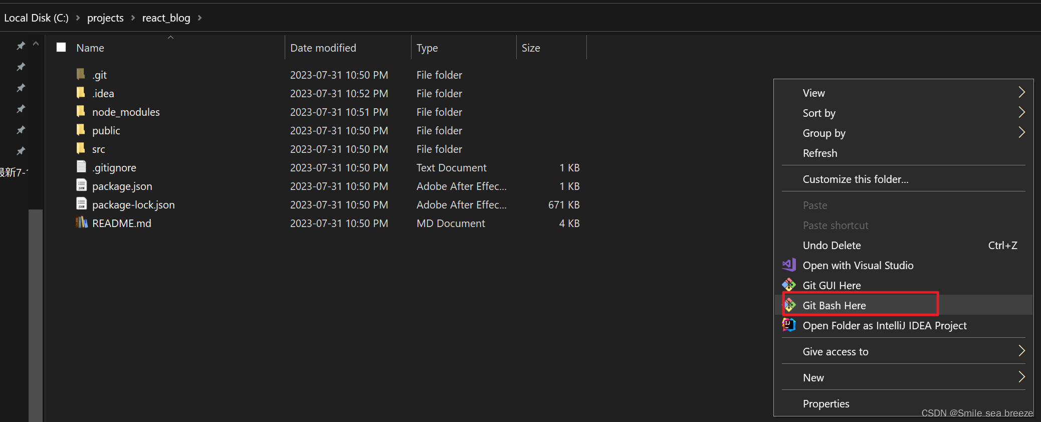 Github上建立新项目超详细方法过程_github创建项目-CSDN博客