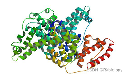 BSA，Cy7.5 labeled,花青染料CY7.5标记牛血清白蛋白,BSA/Biotin-Cy7_cy7标记bsa步骤-CSDN博客